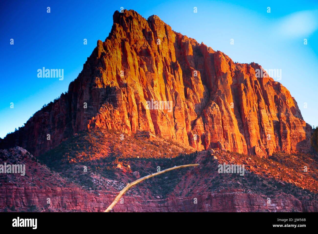 Golden Cliff at Zion Stock Photo - Alamy