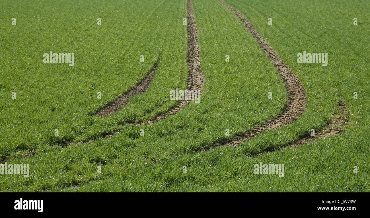 tire tracks in field Stock Photo - Alamy
