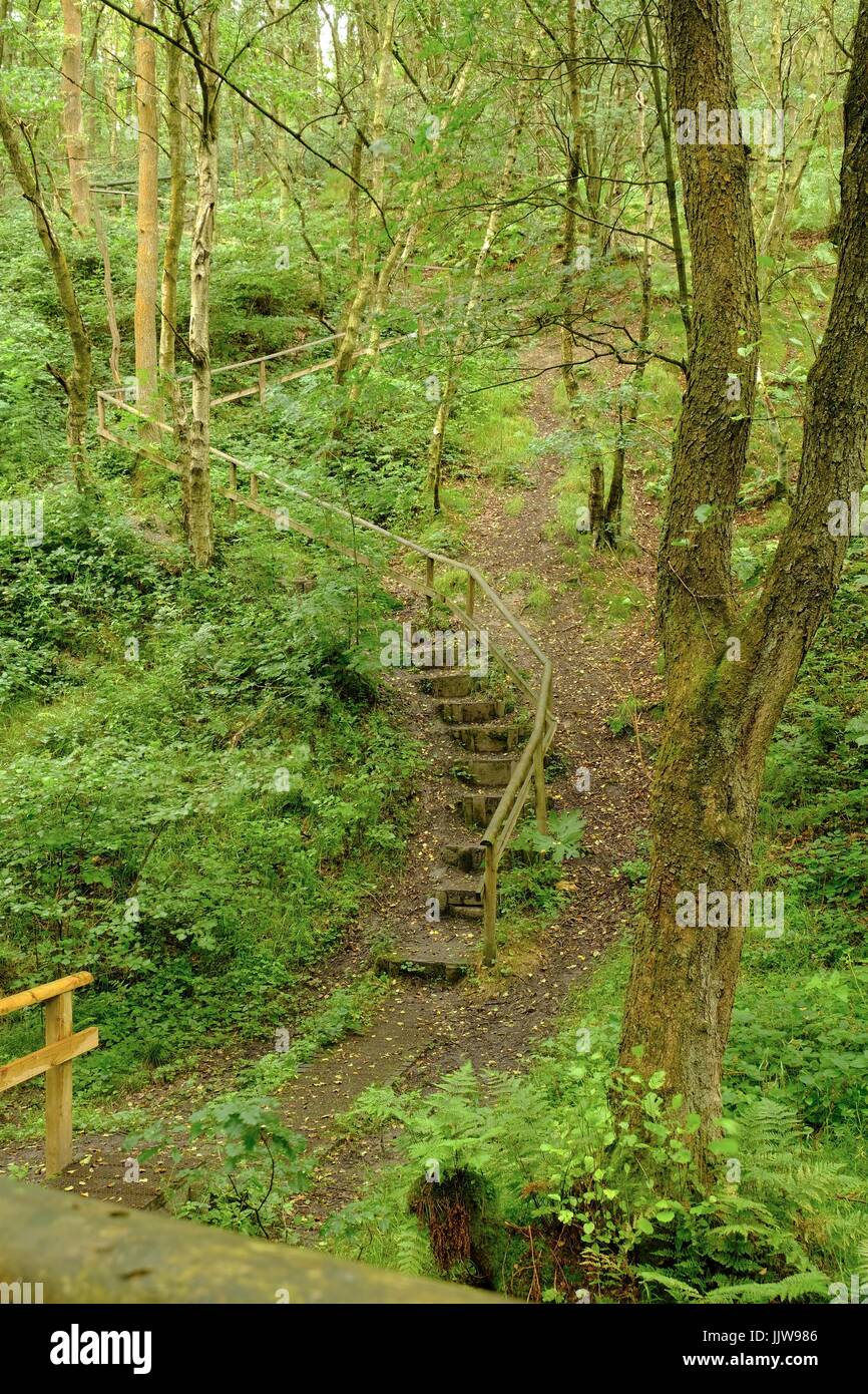 Far Kingsley Banks Stock Photo - Alamy