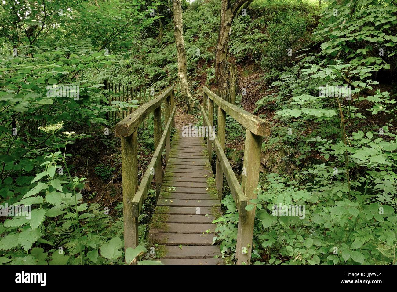 Consall nature park hi-res stock photography and images - Alamy