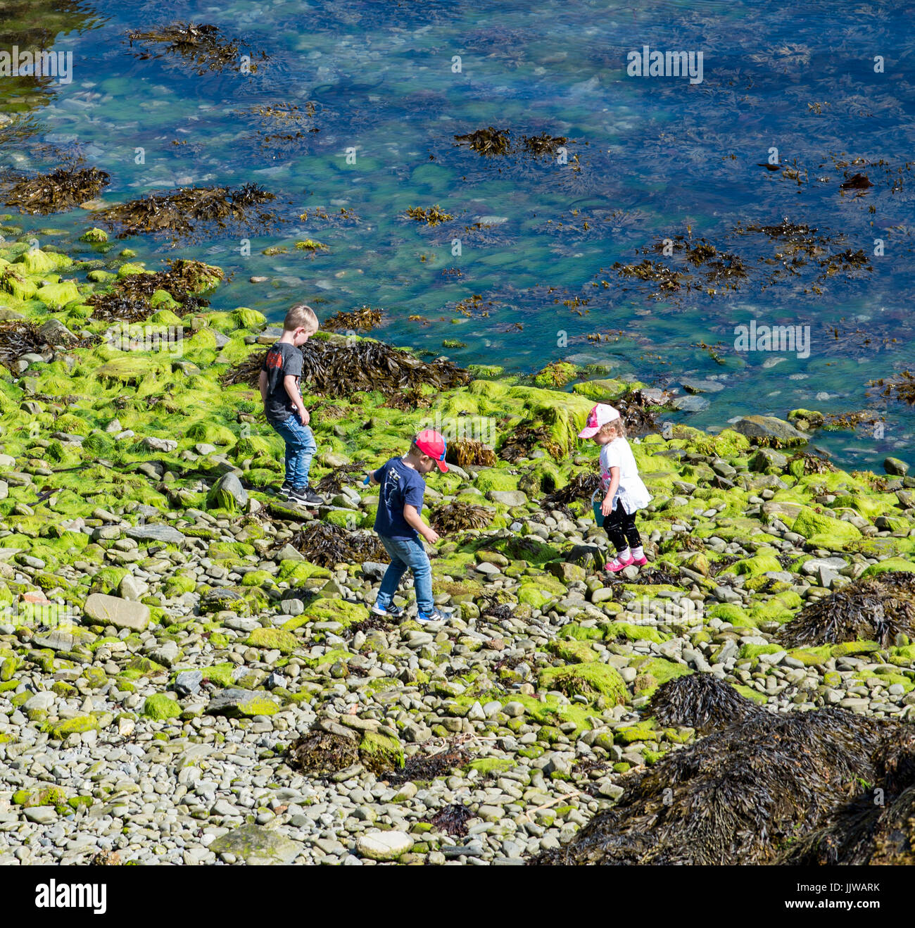 Children playing on a rocky beach at Douglas head Stock Photo - Alamy