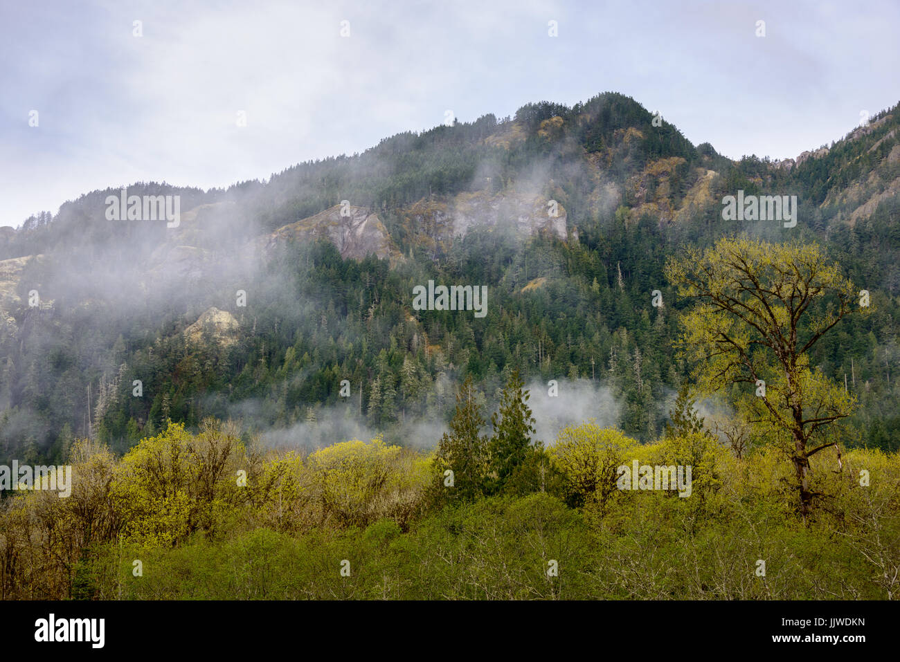 Madison Falls at Olympic National Park Stock Photo - Alamy