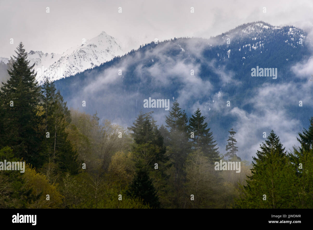Madison Falls at Olympic National Park Stock Photo - Alamy