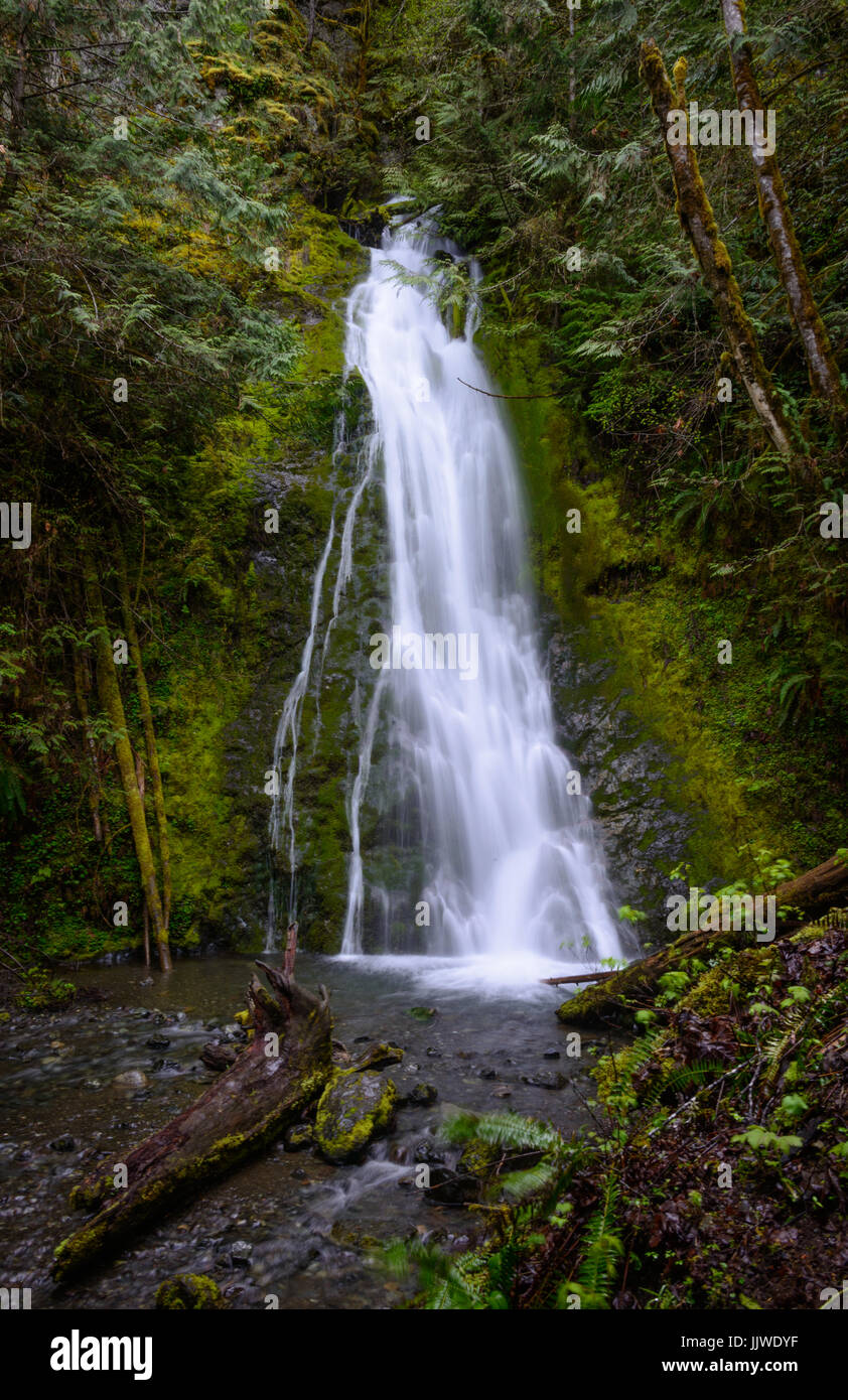 Madison Falls at Olympic National Park Stock Photo - Alamy