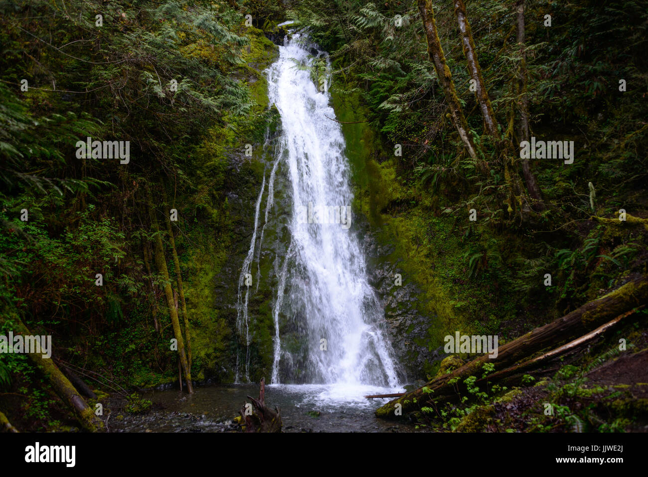 Madison Falls at Olympic National Park Stock Photo - Alamy
