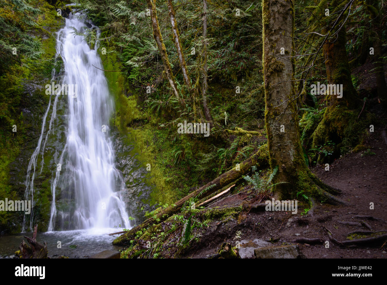 Madison Falls at Olympic National Park Stock Photo - Alamy
