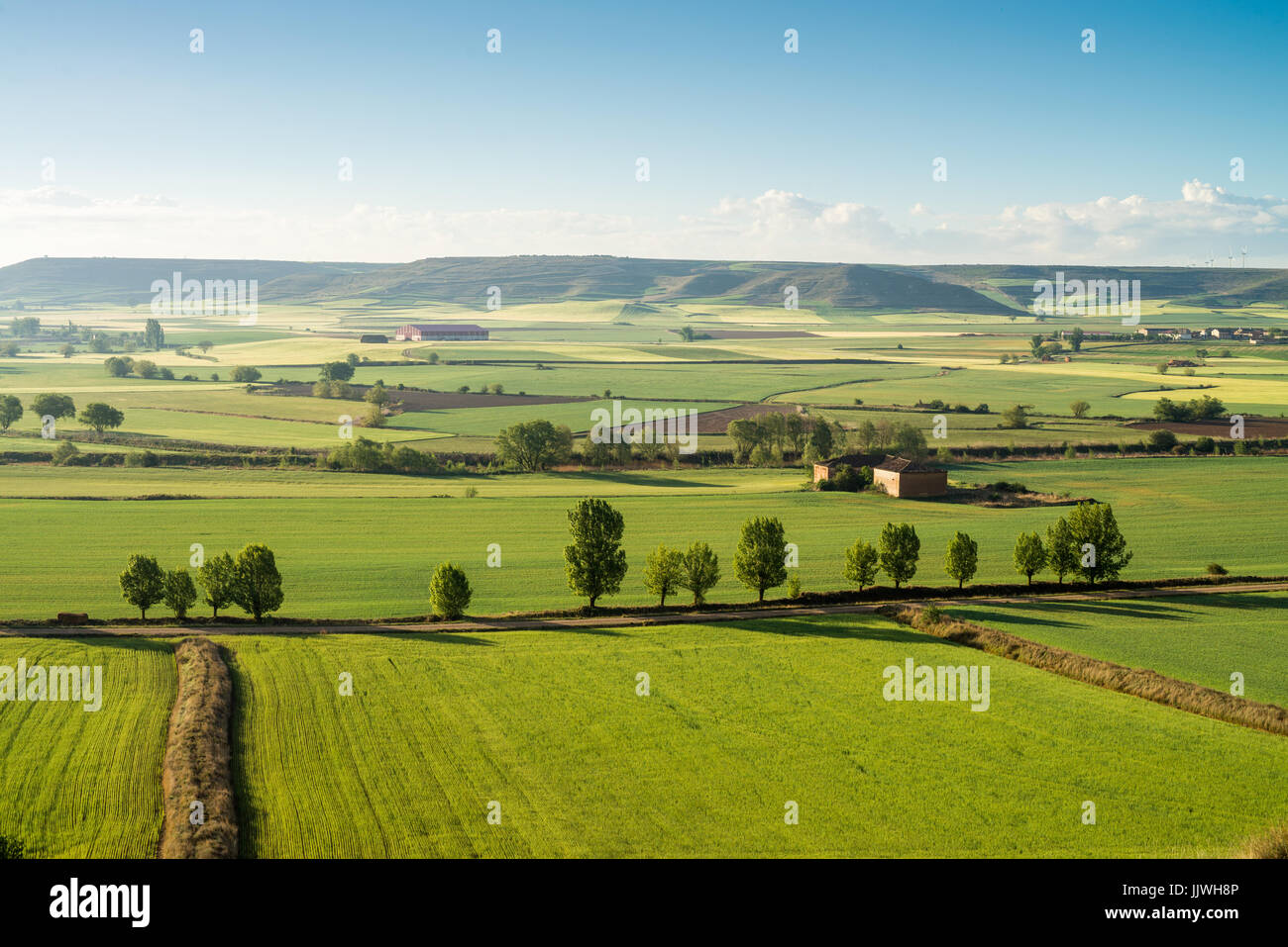 view on the landscape "meseta", a long stretch of plateau. Camino de ...