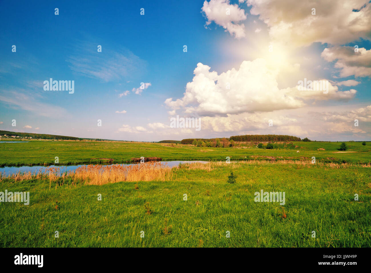 Beautiful summer field with river Stock Photo - Alamy