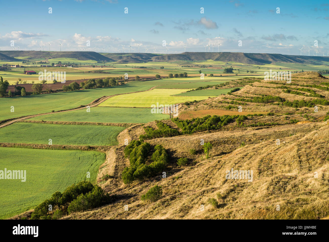 view on the landscape "meseta", a long stretch of plateau. Camino de ...