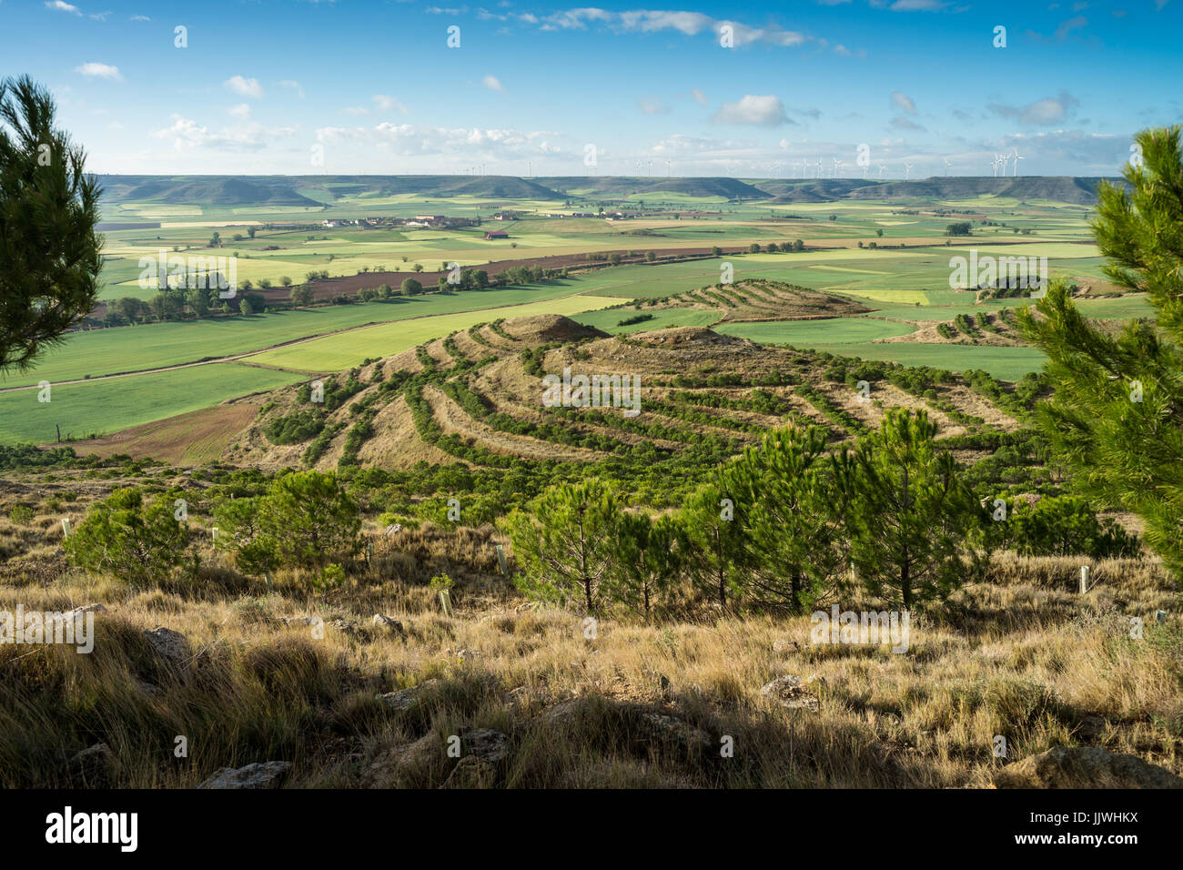 Camino de santiago spain meseta plateau hi-res stock photography and ...