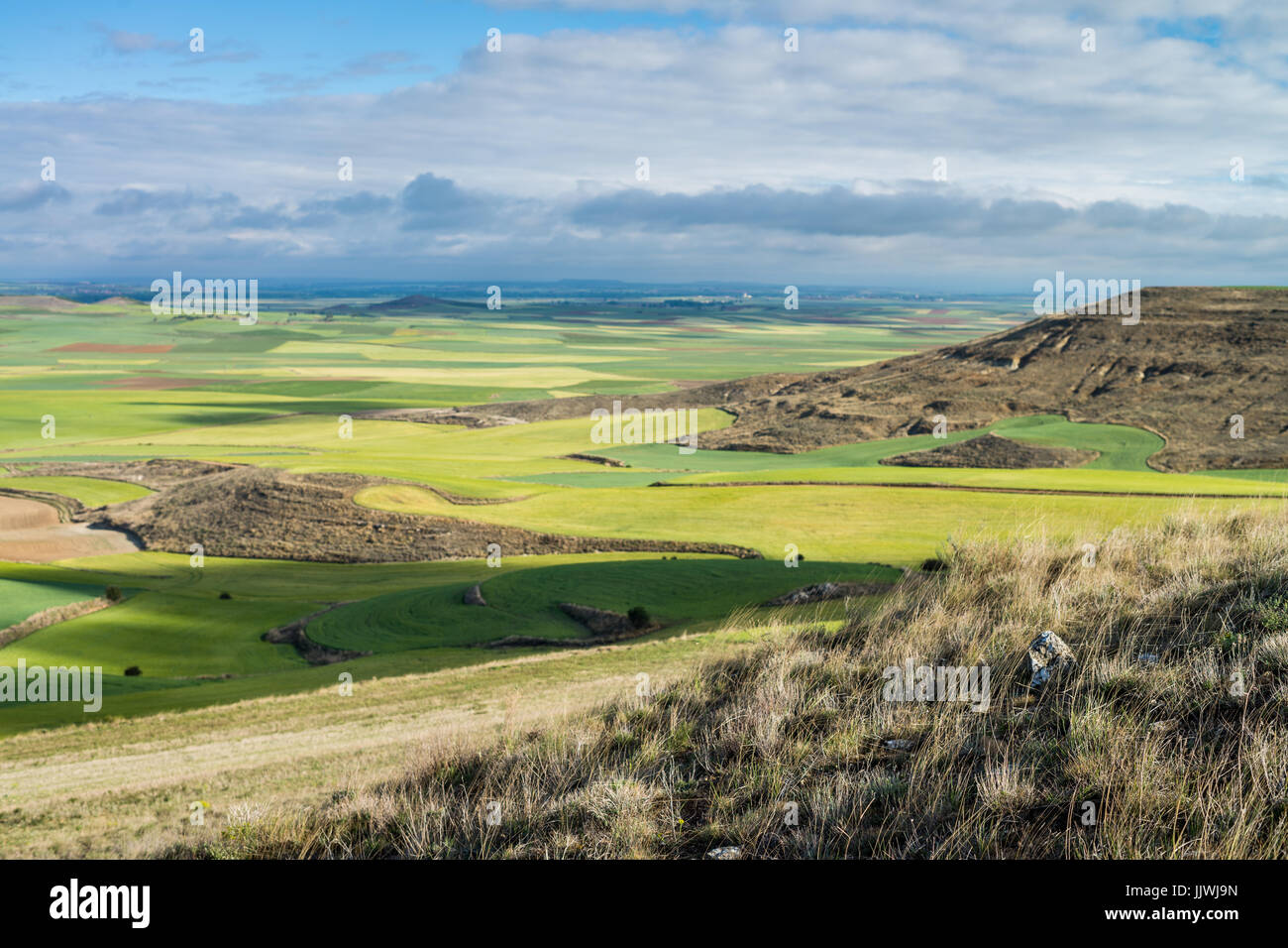 view on the landscape "meseta", a long stretch of plateau. Camino de ...