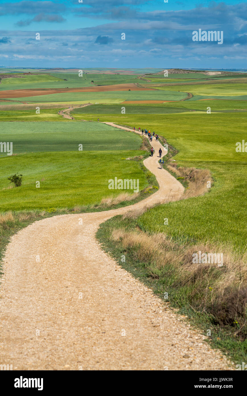 Scenic camino meseta hi-res stock photography and images - Alamy