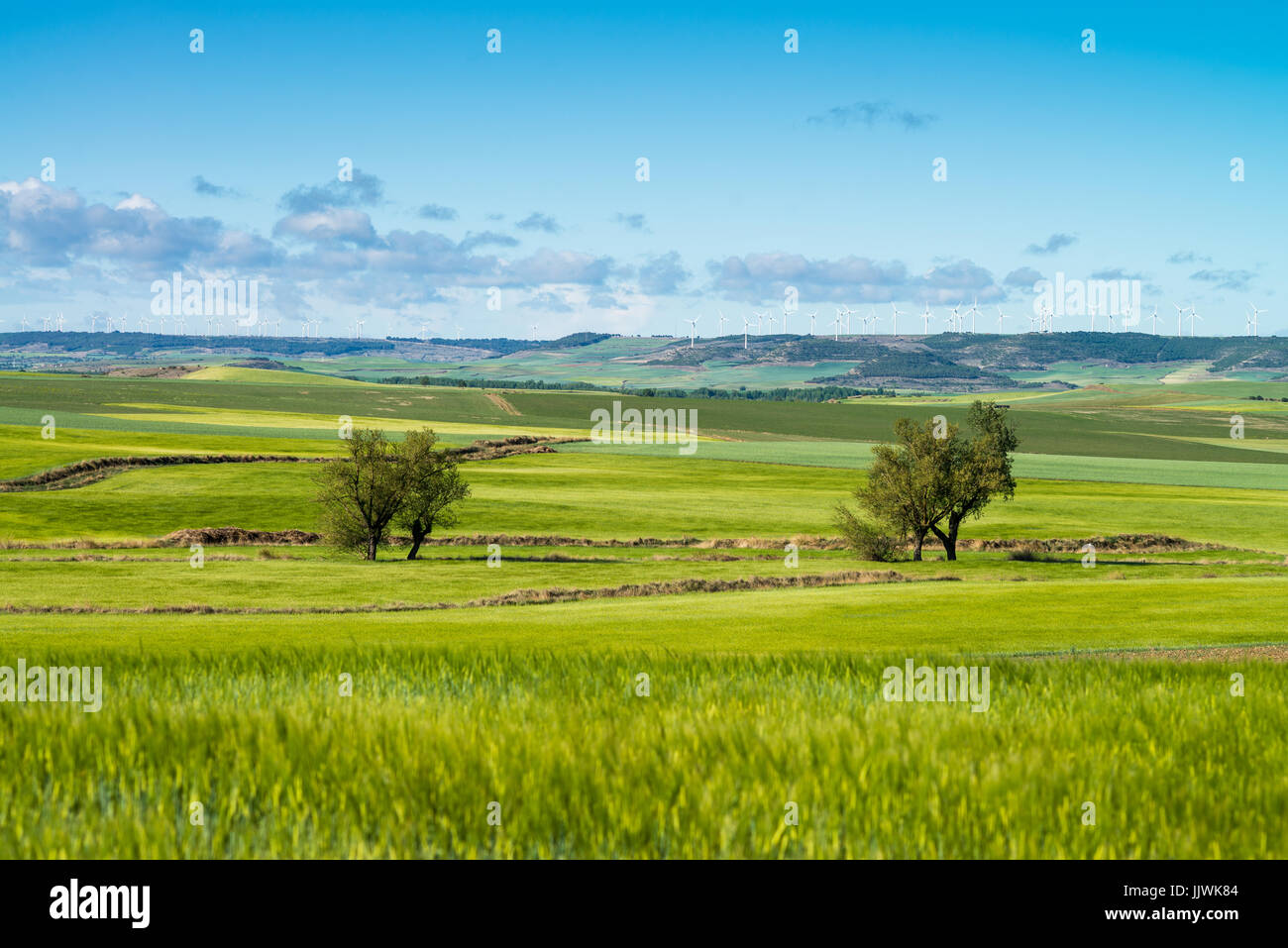 view on the landscape "meseta", a long stretch of plateau. Camino de ...