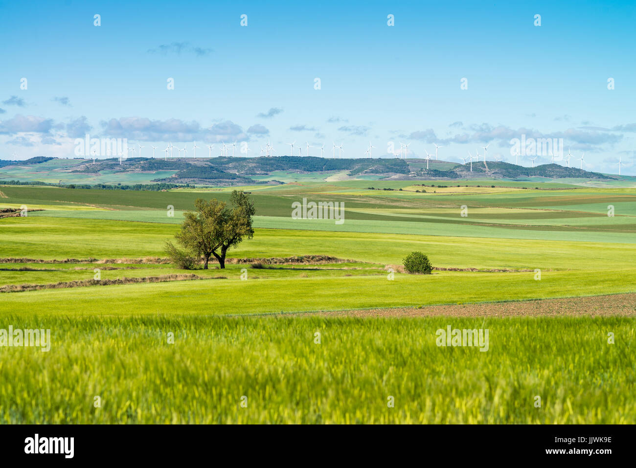 view on the landscape "meseta", a long stretch of plateau. Camino de ...