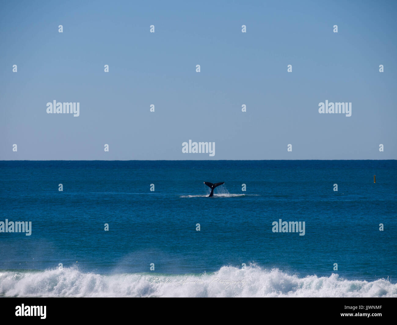 Wave tail hi-res stock photography and images - Alamy