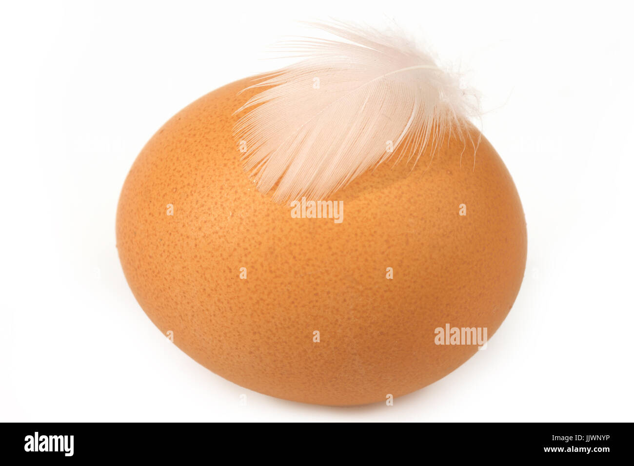 One brown egg with feather on bright background Stock Photo - Alamy