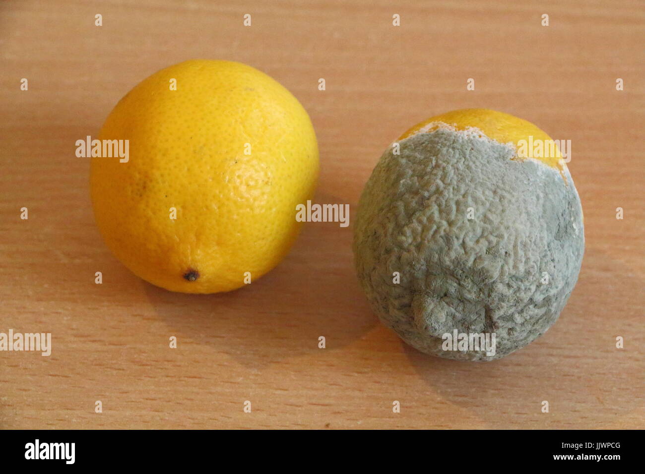 Moldy fruit hi-res stock photography and images - Alamy