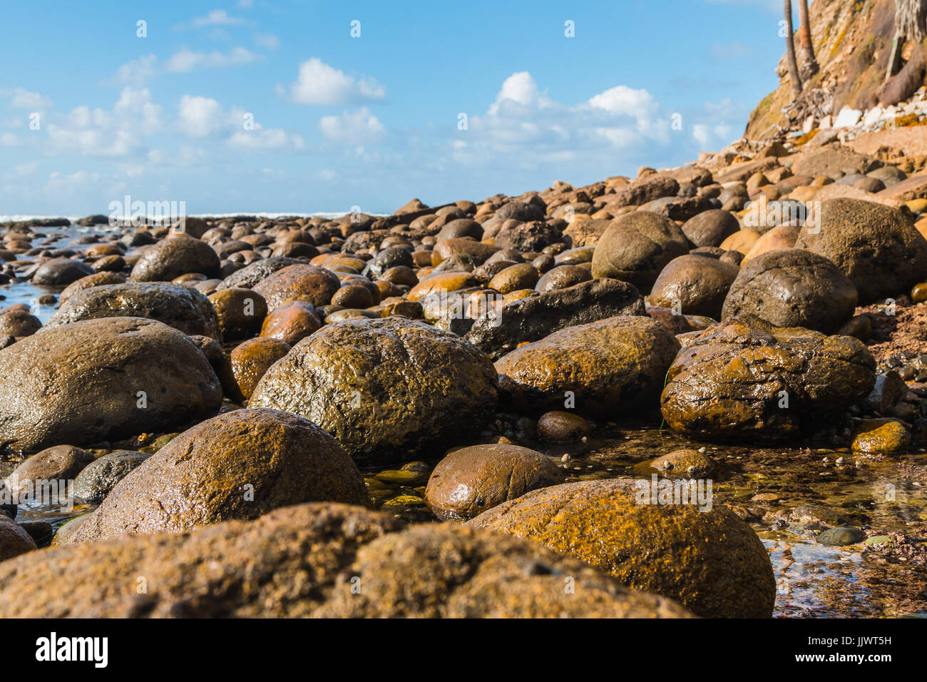 Tide pool rocks hi-res stock photography and images - Alamy