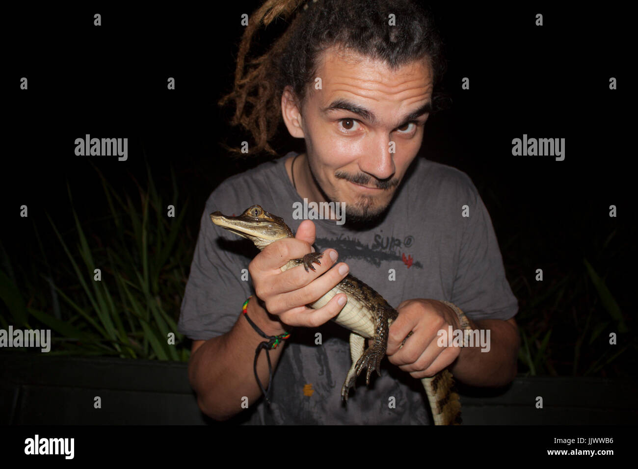 A man holding a small specimen of spectacled caiman Stock Photo - Alamy