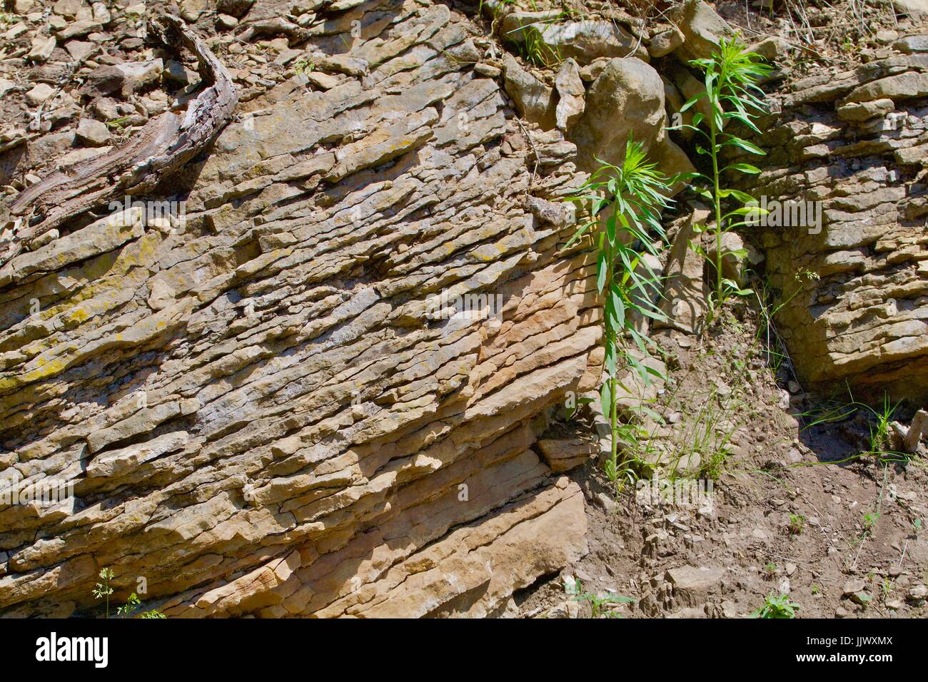 Sediment layers water hi-res stock photography and images - Alamy