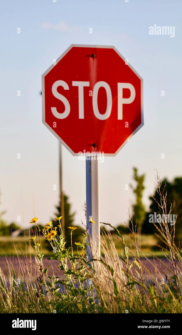 Flowers and Stop Sign Stock Photo - Alamy