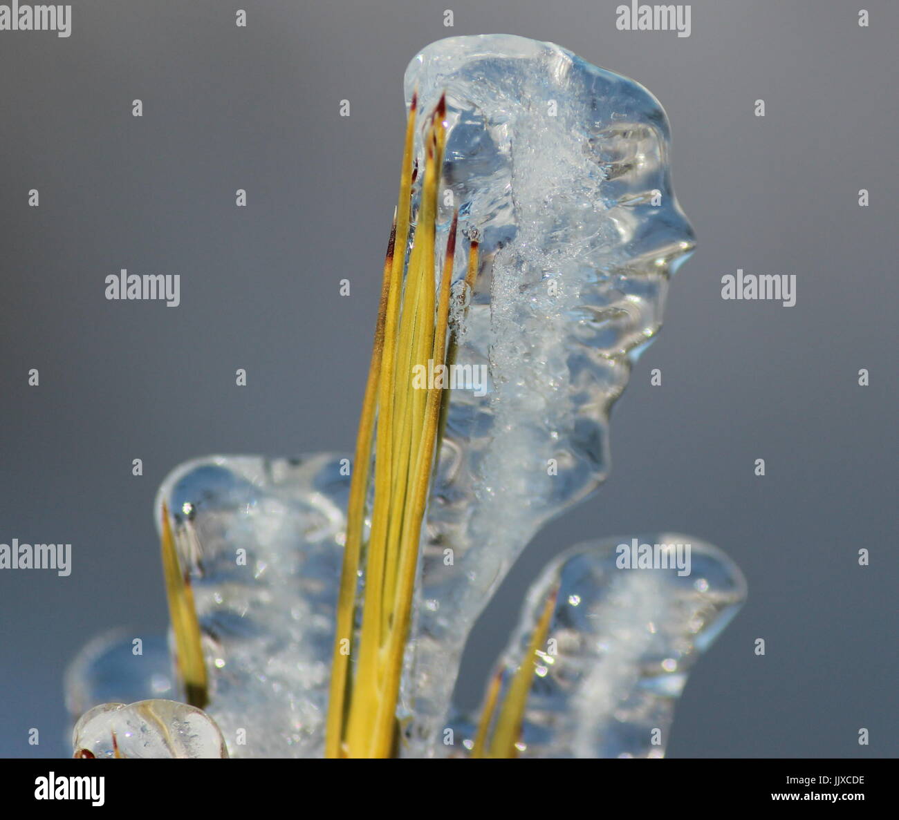 Ice and grass hi-res stock photography and images - Alamy