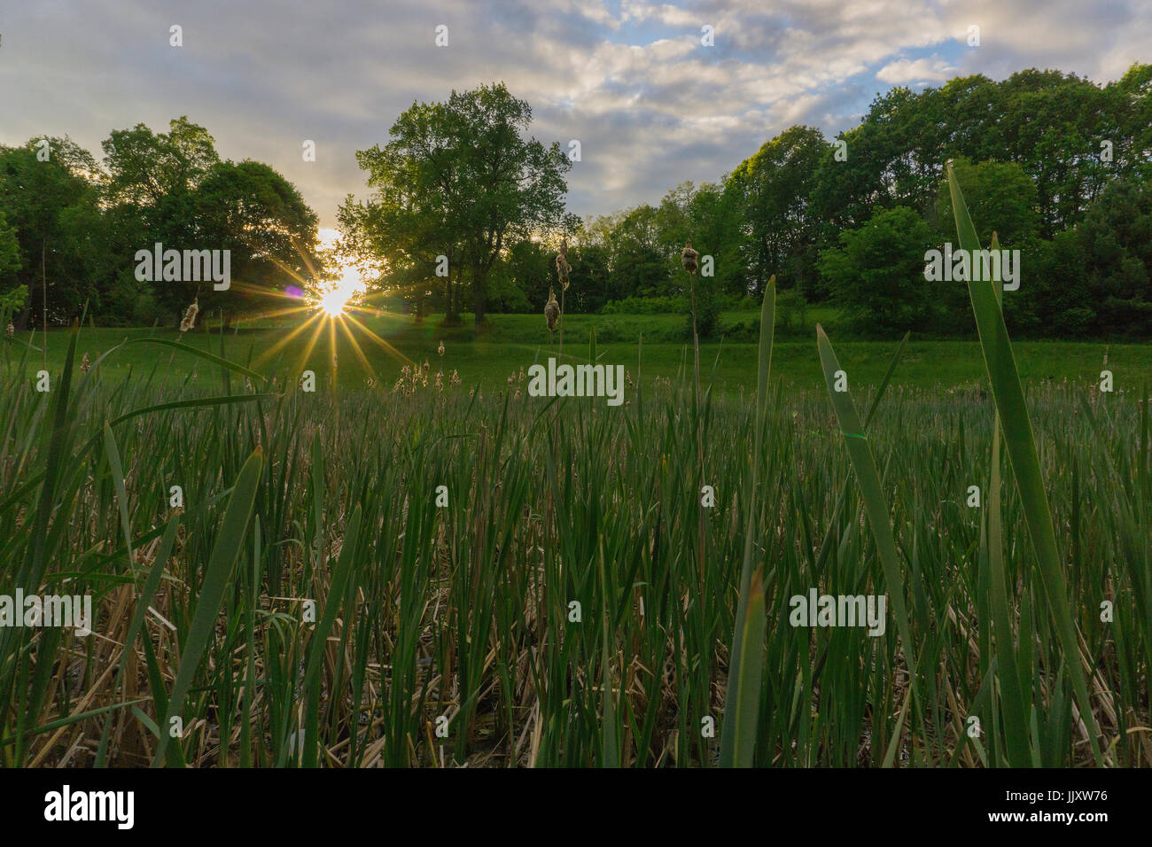 Springside hi-res stock photography and images - Alamy