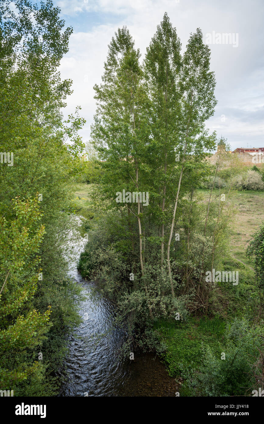 City wall, Sahagun, Spain. Camino de Santiago Stock Photo - Alamy