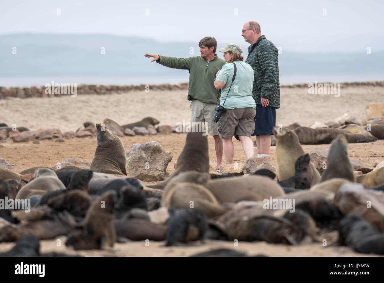 Tourists photographing the many seals at the Cape Cross Seal Reserve ...