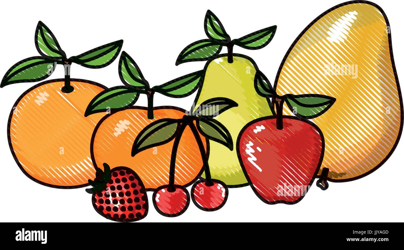 colored crayon silhouette of colorful tropical fruits Stock Vector ...