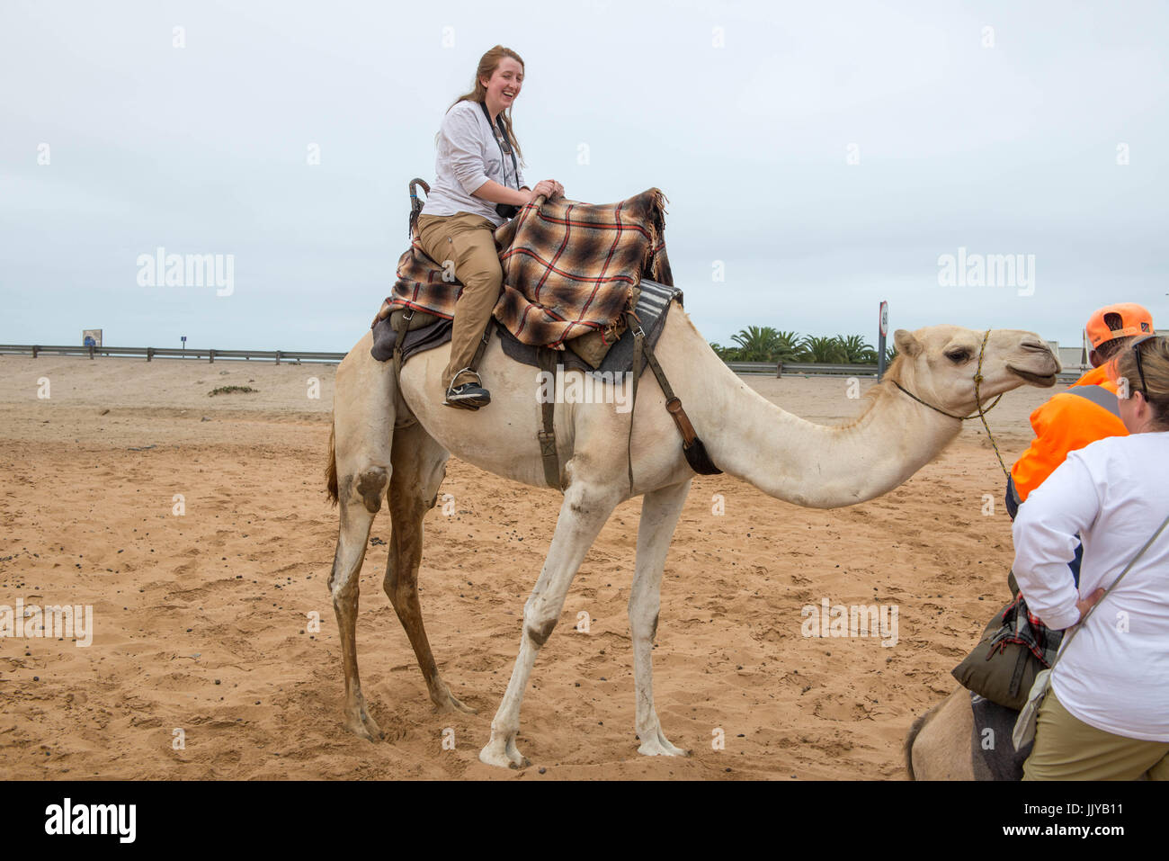 Camel in motion hi-res stock photography and images - Alamy
