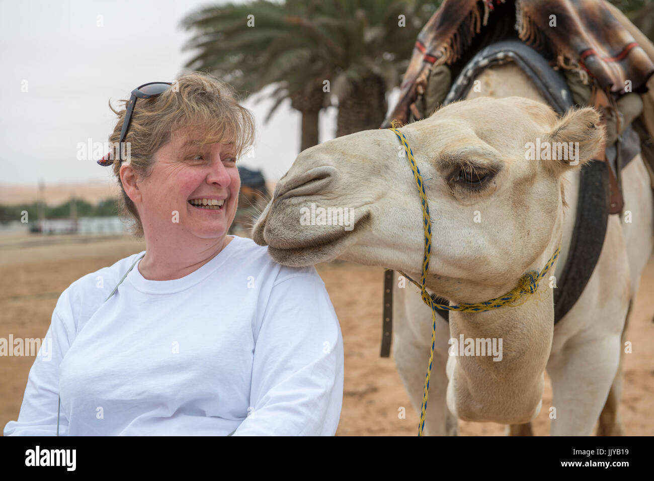 Tourist smiling and interacting with a camel in the Namib desert ...