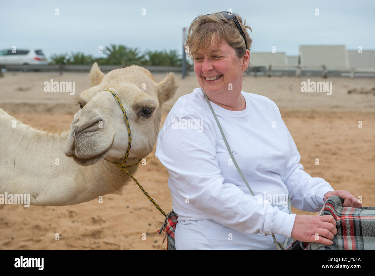 Tourist smiling and interacting with a camel in the Namib desert ...
