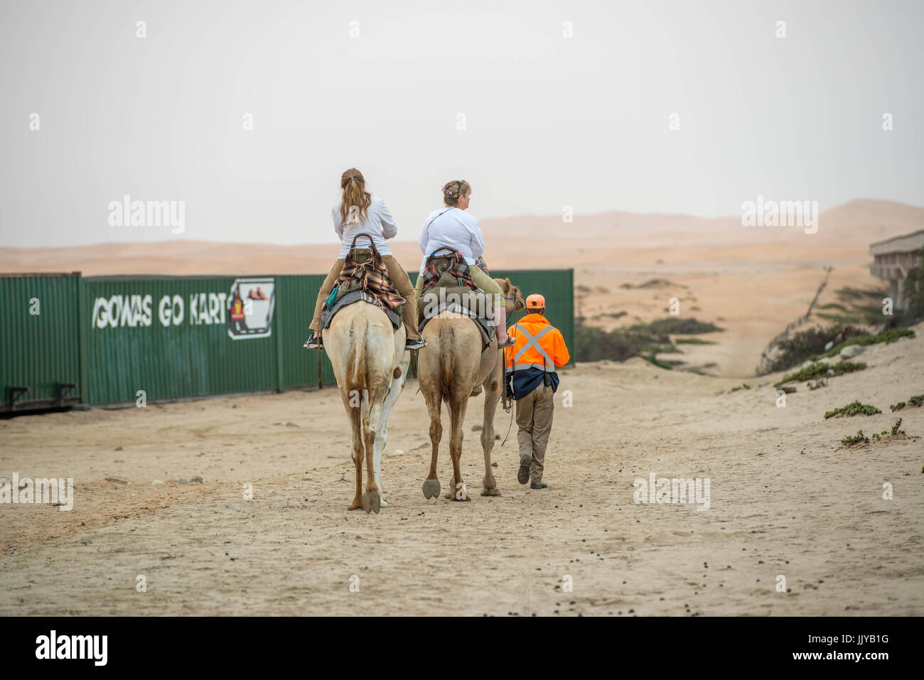 Tourists riding camels in the Namib Desert, Namibia, Africa Stock Photo ...