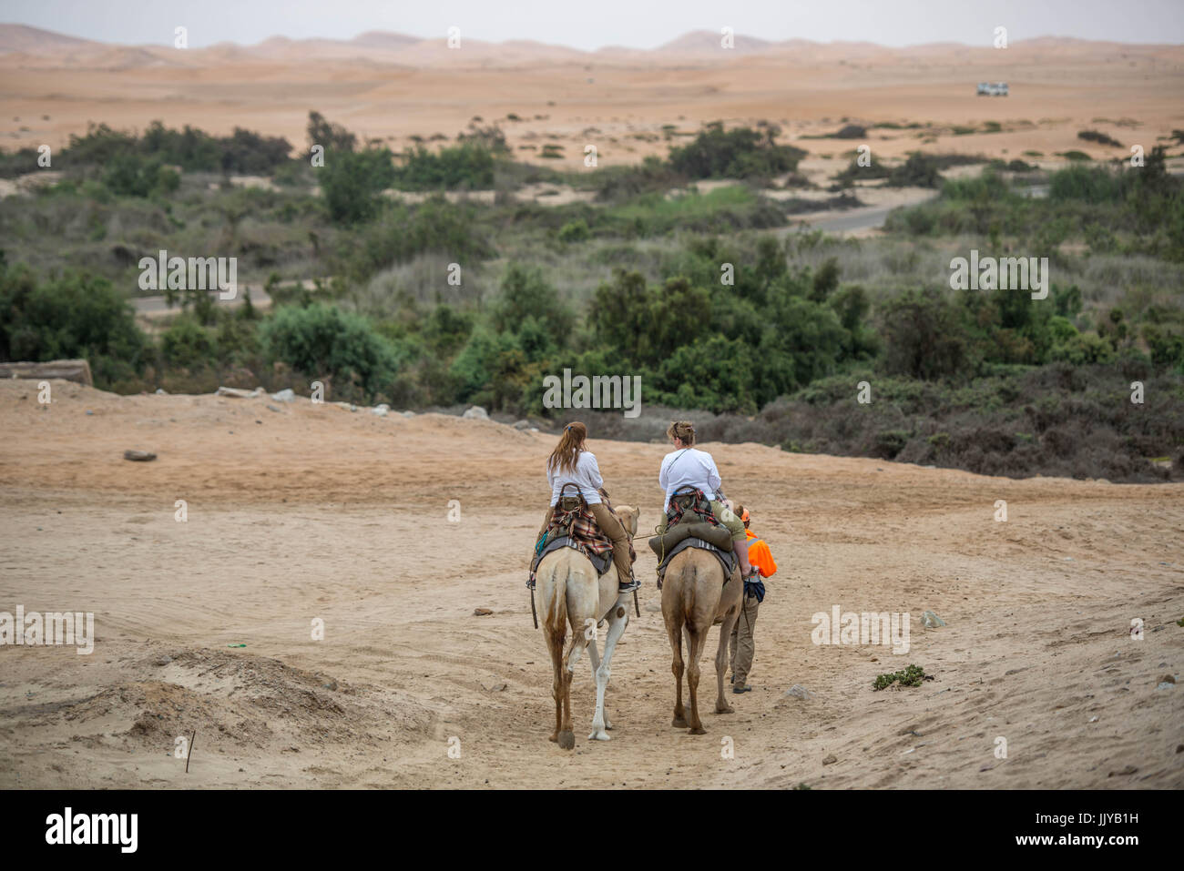 Tourists riding camels in the Namib Desert, Namibia, Africa Stock Photo ...