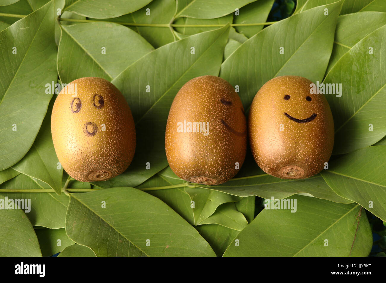 two happy kiwi fruit and other on leaves background,kiwifruit lover ...