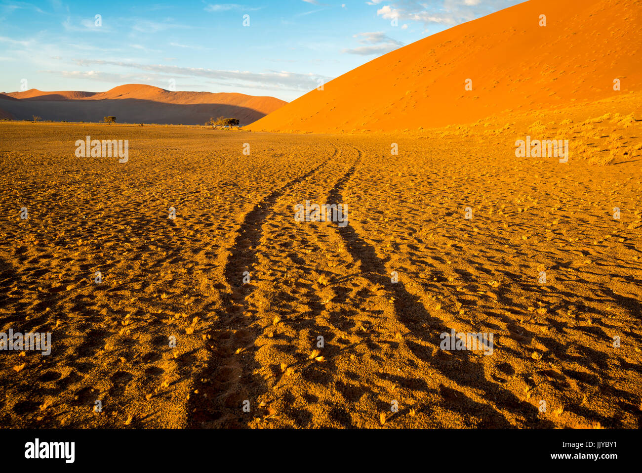 A trail in the sand at the base of an ancient sand dune in the Namib ...
