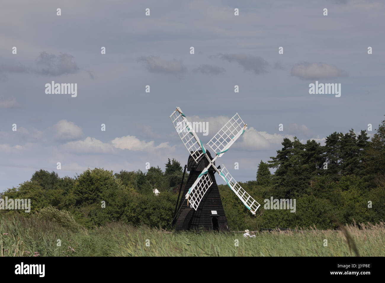 Lode, Cambridgeshire, UK.21st July 2017. Warm sunny afternoon in , Lode ...