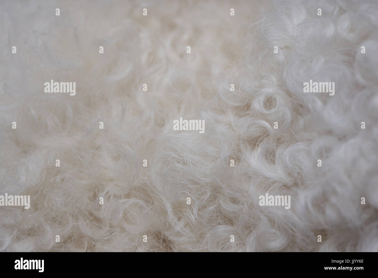 Curly white wool texture. White animal fluffy fur Stock Photo - Alamy