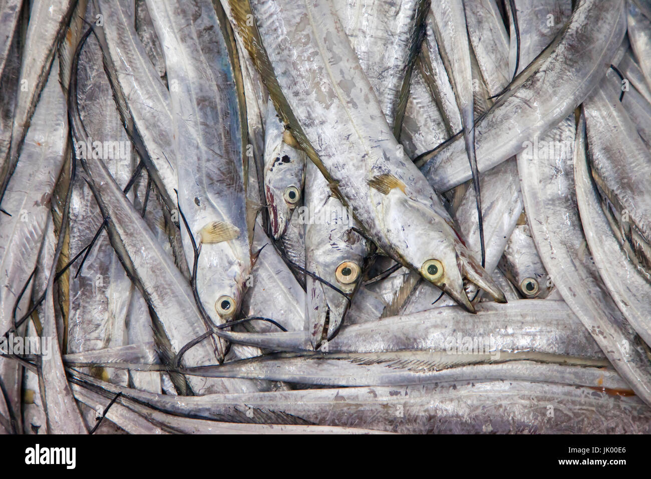 Fresh fish food market in Maharashtra Stock Photo - Alamy