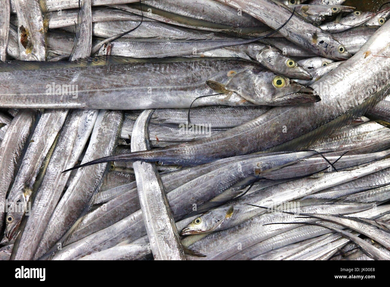 Fresh fish food market in Maharashtra Stock Photo - Alamy
