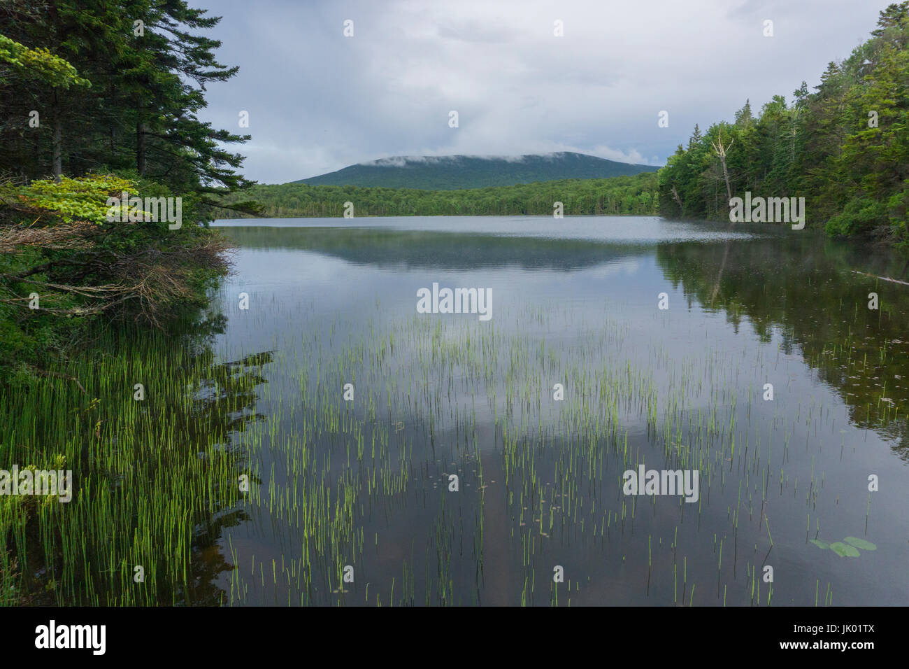 Stratton Pond in the Green Mountains in Vermont Stock Photo - Alamy