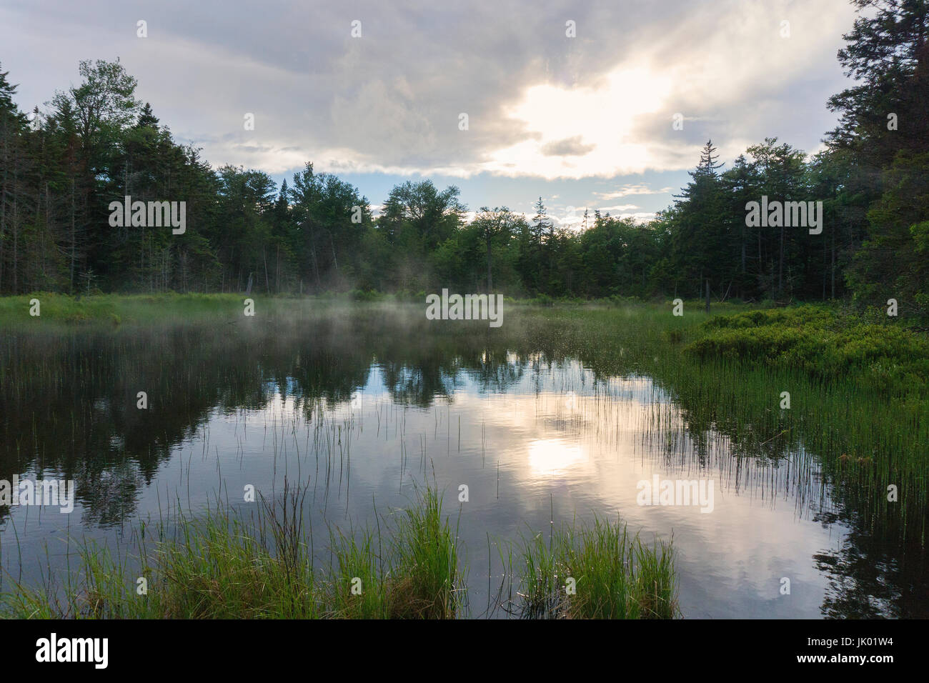 View at Stratton Pond in the Green Mountains in Vermont Stock Photo - Alamy