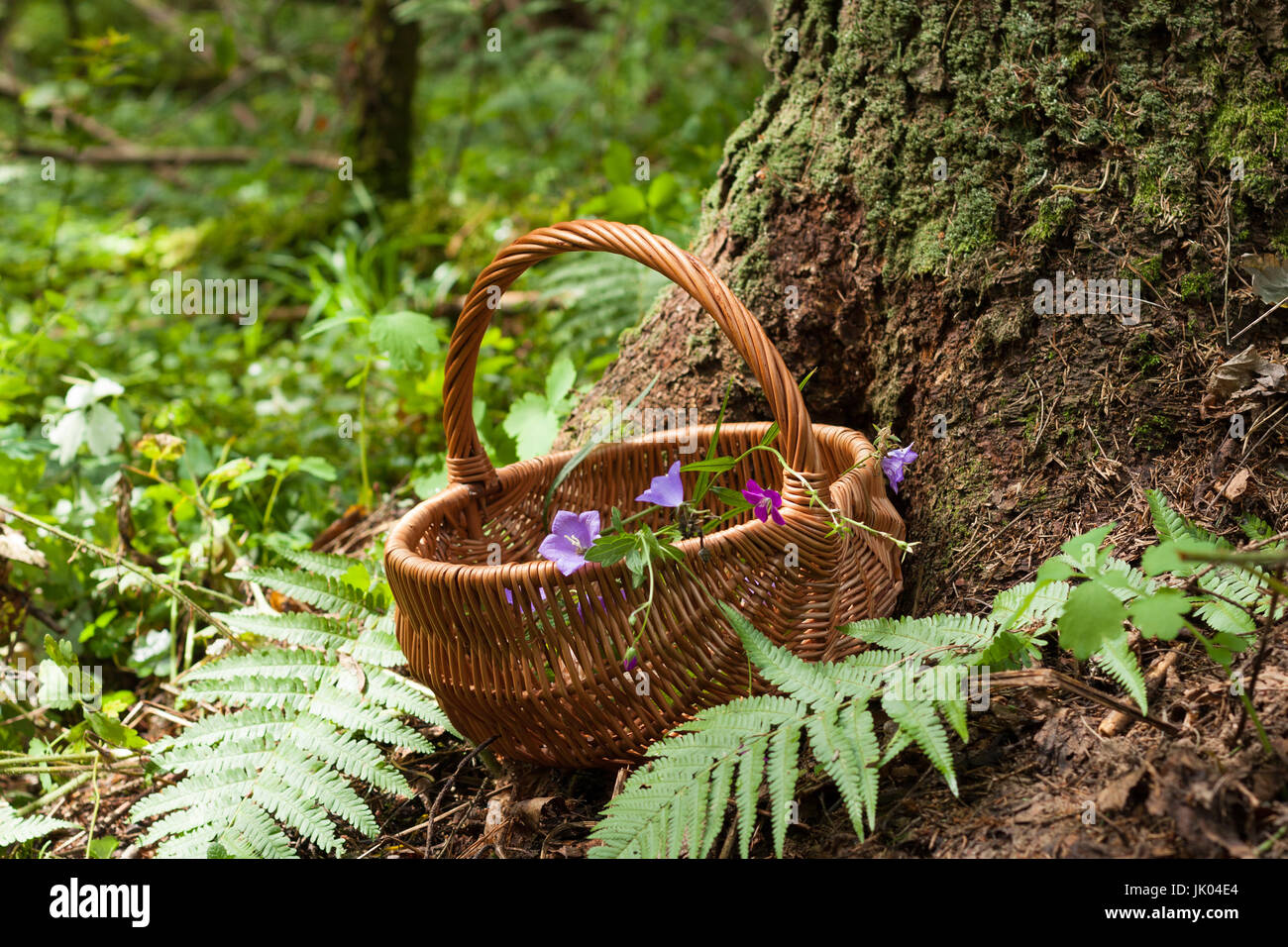 Empty flower basket hi-res stock photography and images - Alamy