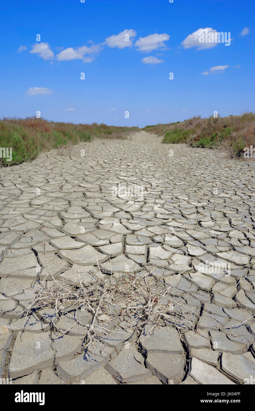 Dried out earth hi-res stock photography and images - Alamy