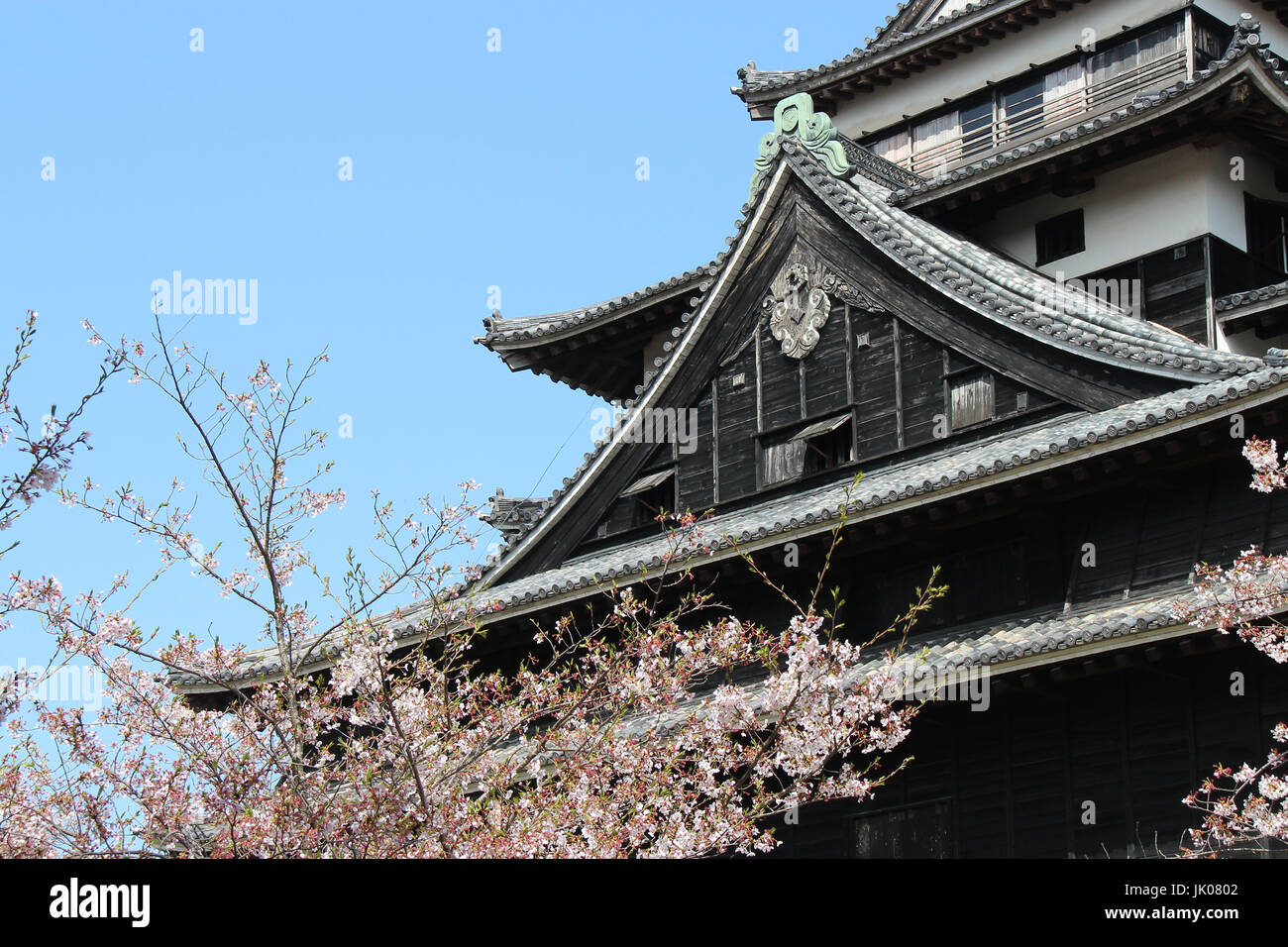 Matsue castle in Matsue (Japan Stock Photo - Alamy