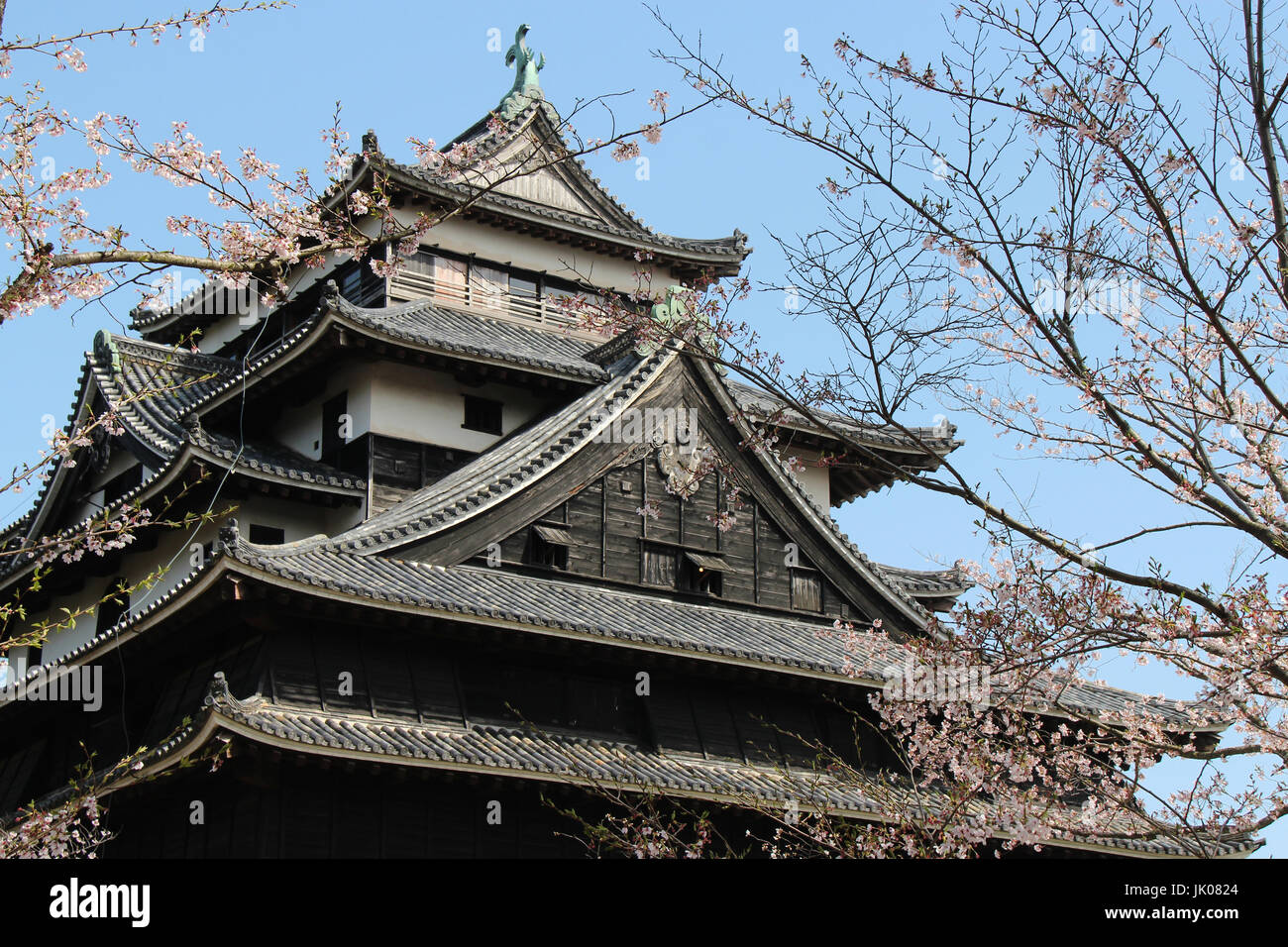 Matsue castle in Matsue (Japan Stock Photo - Alamy