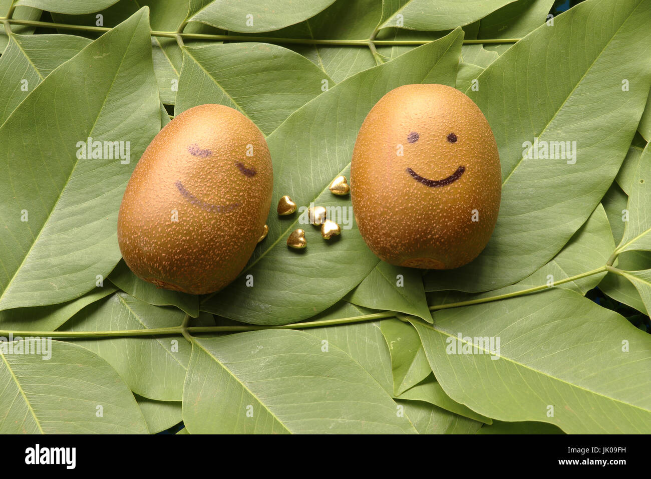 two happy kiwi fruit on leaves background,kiwifruit lover meaning,focus ...