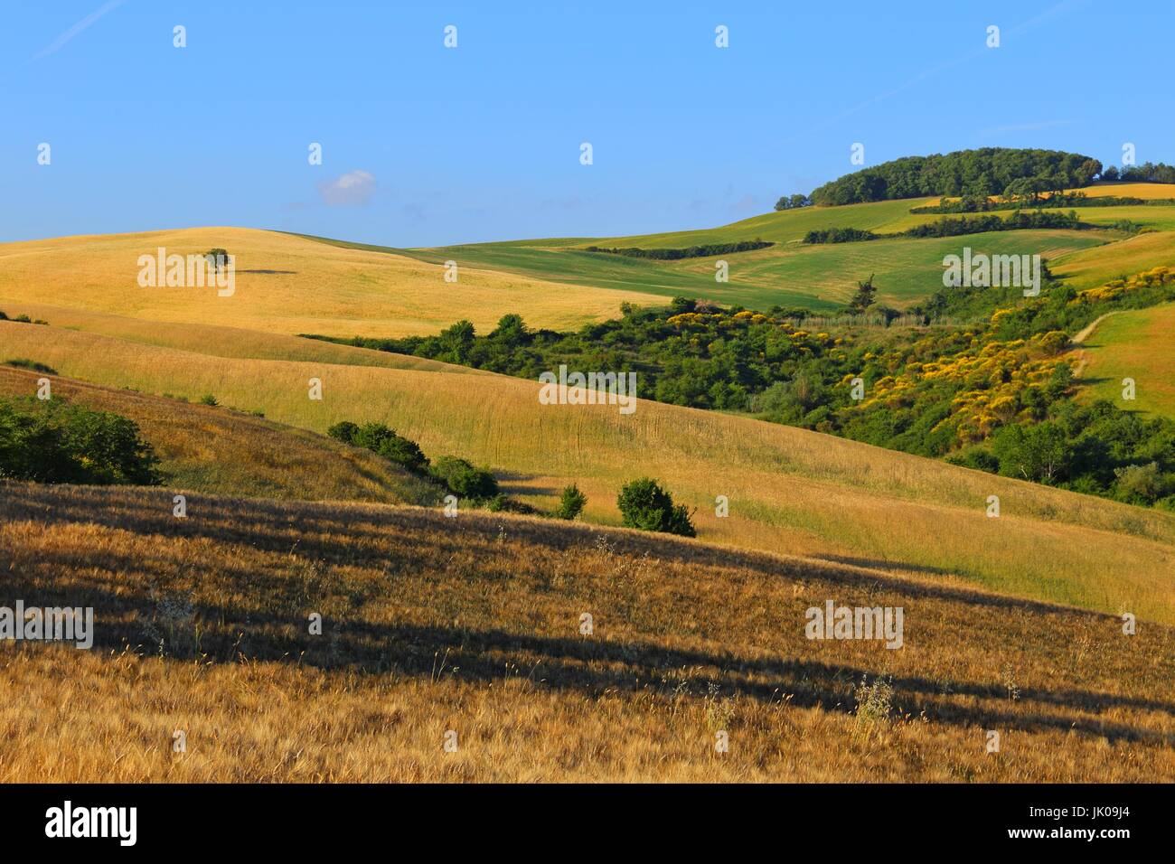 Countryside around san quirico hi-res stock photography and images - Alamy