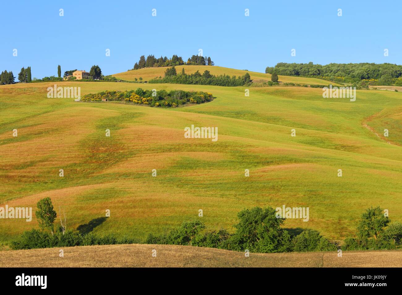 Countryside landscape around Pienza Tuscany in Italy, Europe Stock ...